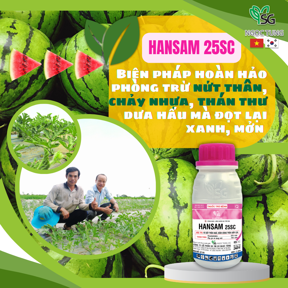 💊🌱[HANSAM 25SC - BIỆN PHÁP HOÀN HẢO PHÒNG TRỪ NỨT THÂN, CHẢY NHỰA, THÁN ...